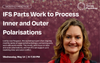IFS Parts Work to Inner and Outer Polarisations — Centre for Climate ...