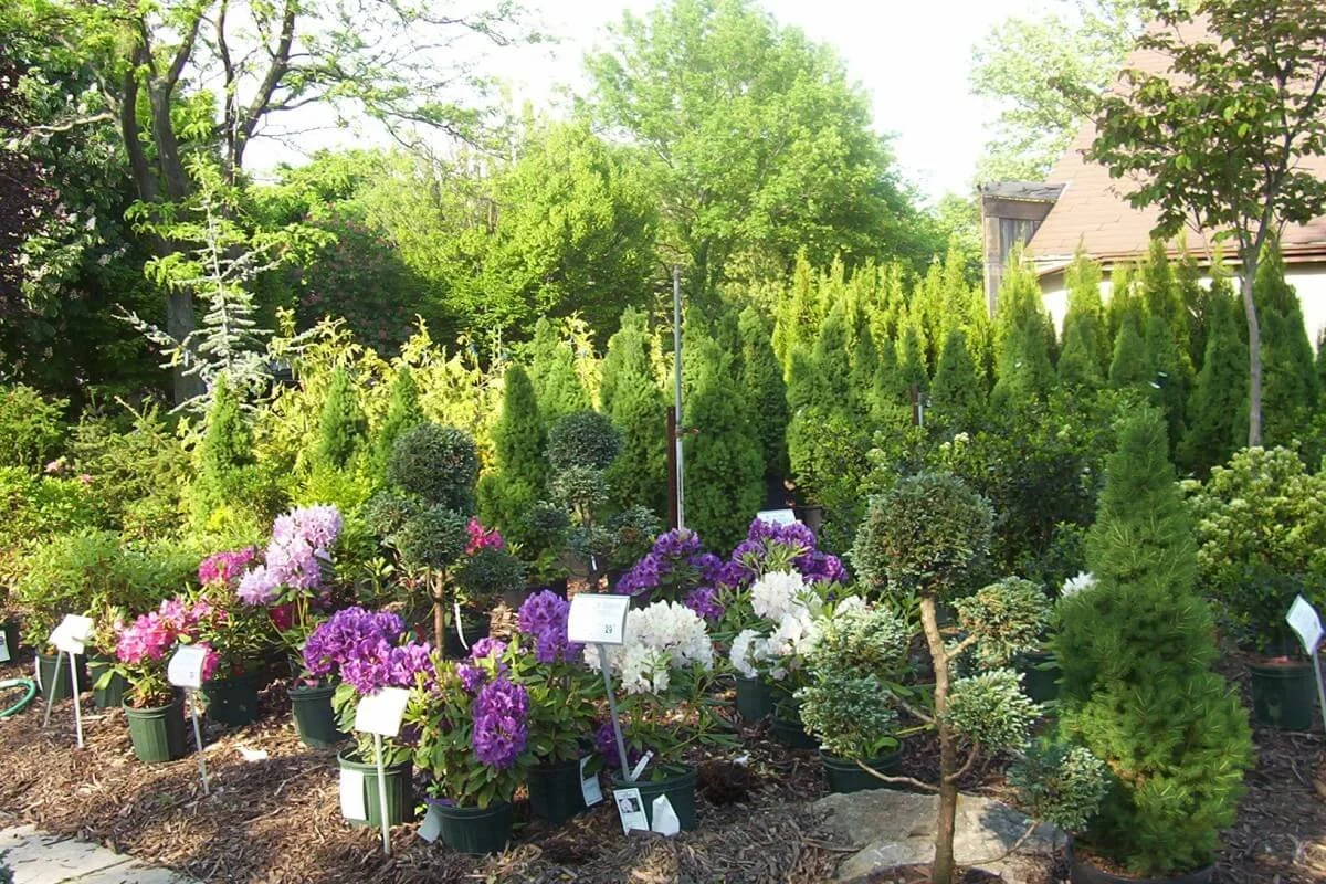 Photos — Gauld Nurseries