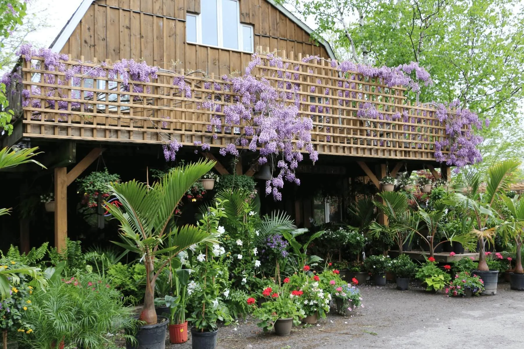 Gauld Nurseries