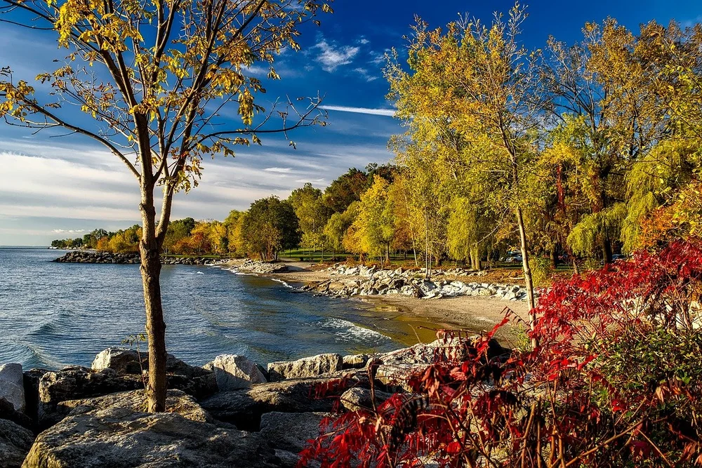 Southern Ontario Planting Zones Explained for Gardeners — Gauld Nurseries