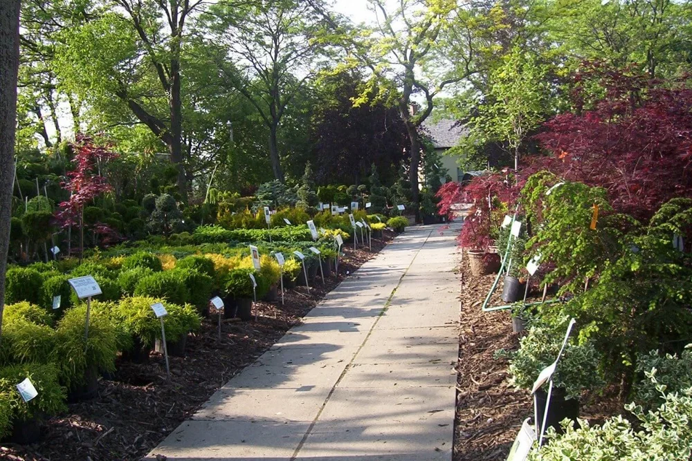 How Soil Affects Plant Growth and Health: What You Need to Know — Gauld ...