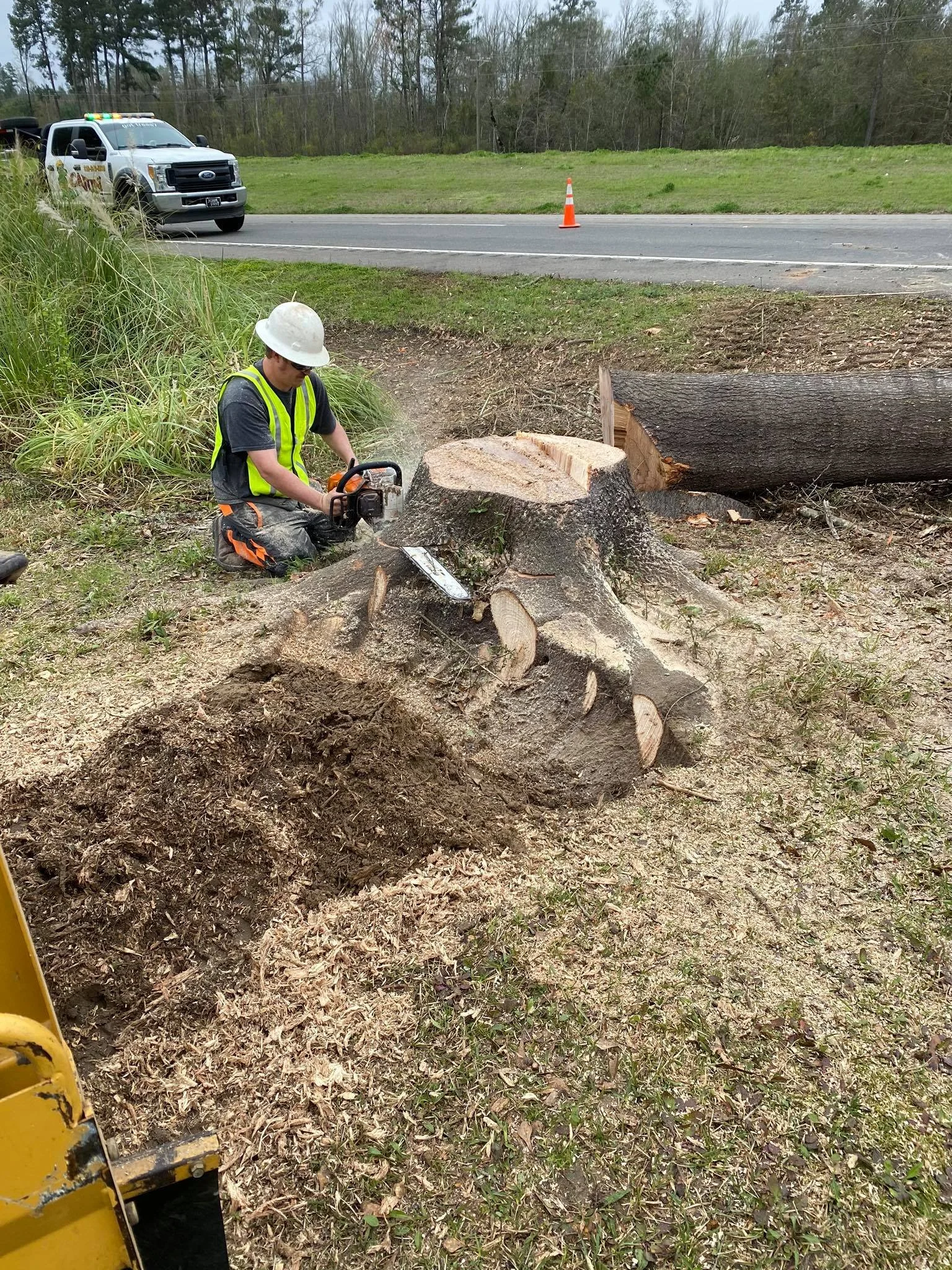 Our Services — Cajun Tree Cutters