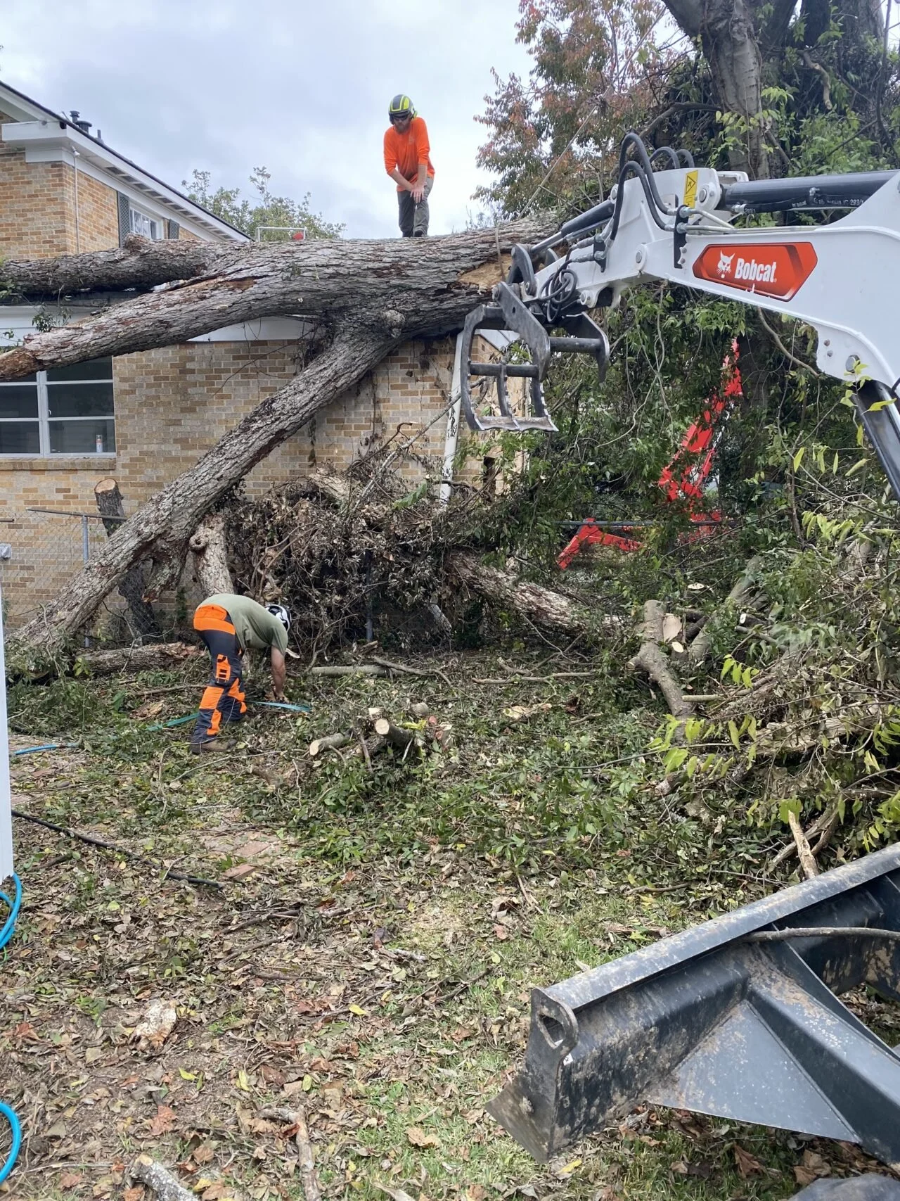 Storm Damage Work — Cajun Tree Cutters