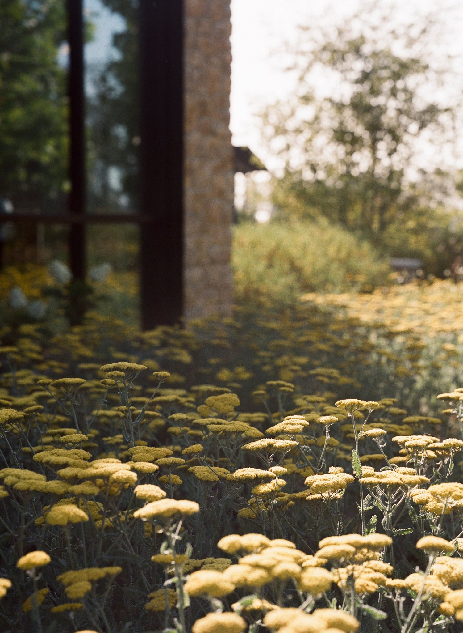 W-K+S Stanly Ranch, Napa CA — Alison Events