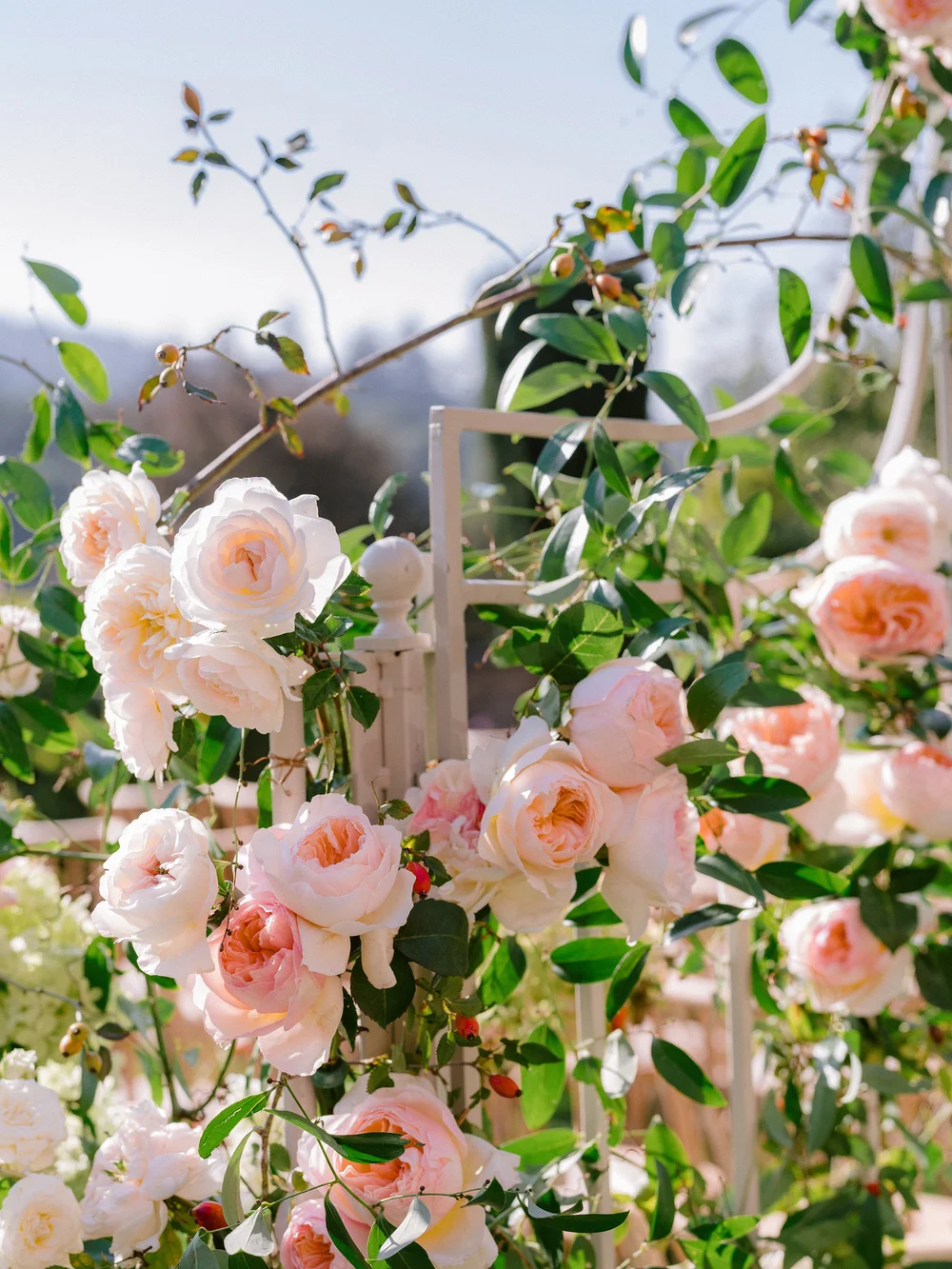 W-Filoli, Woodside, CA — Alison Events