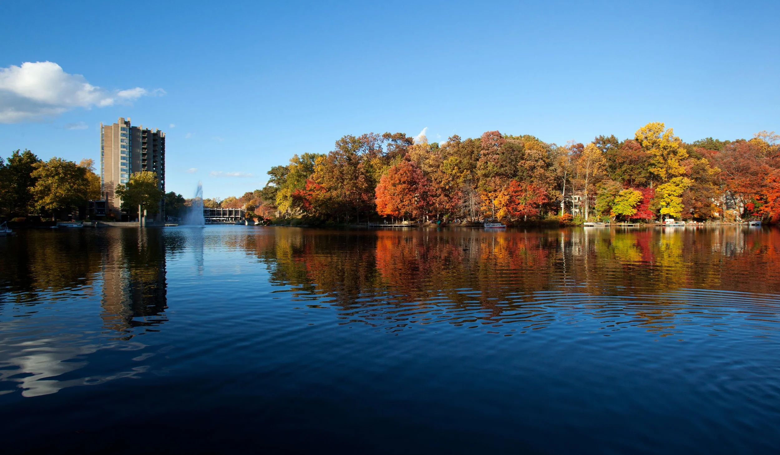 About Us — Reston Museum