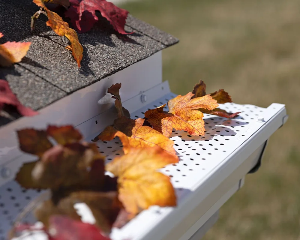 Leaf Exterminator — Benefits