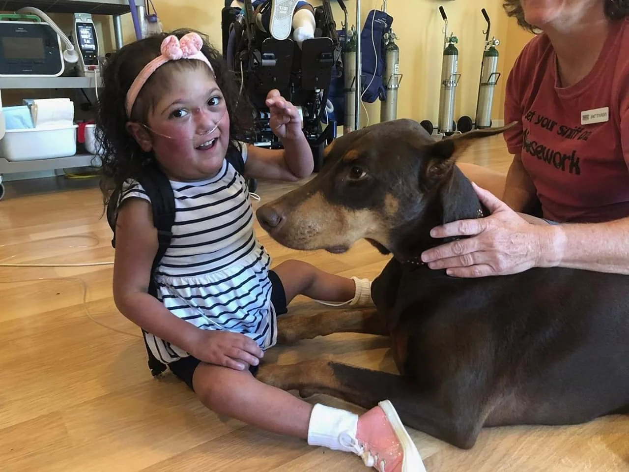 Programs — Roxy Therapy Dogs