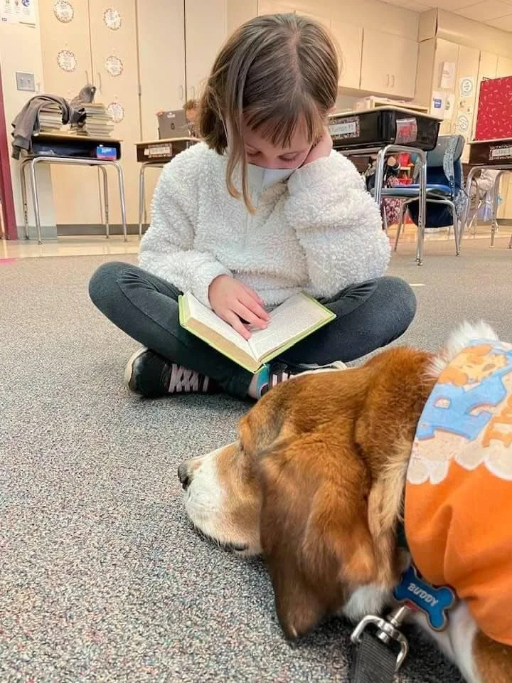 What Happens on a Visit? — Roxy Therapy Dogs
