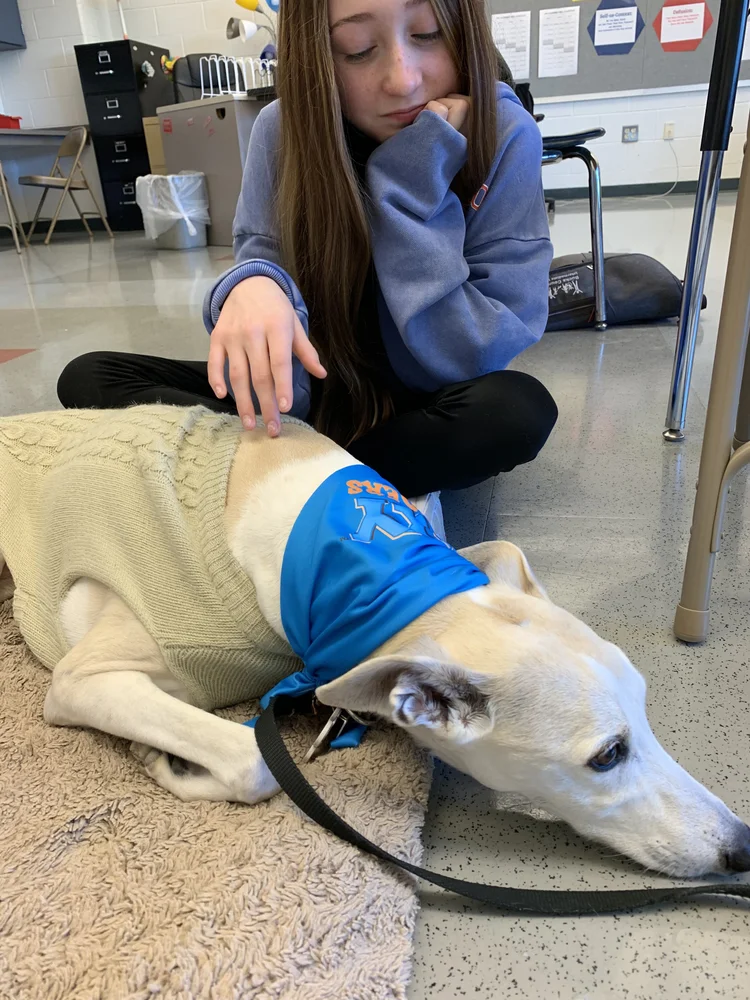 Programs — Roxy Therapy Dogs