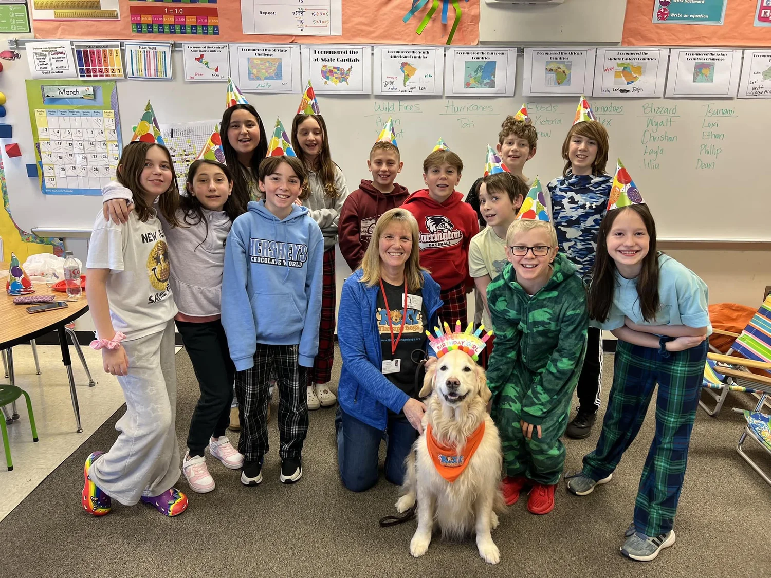 Volunteer With A Dog — Roxy Therapy Dogs