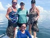 Scalloping Charters — Paddletail Waterfront Adventures