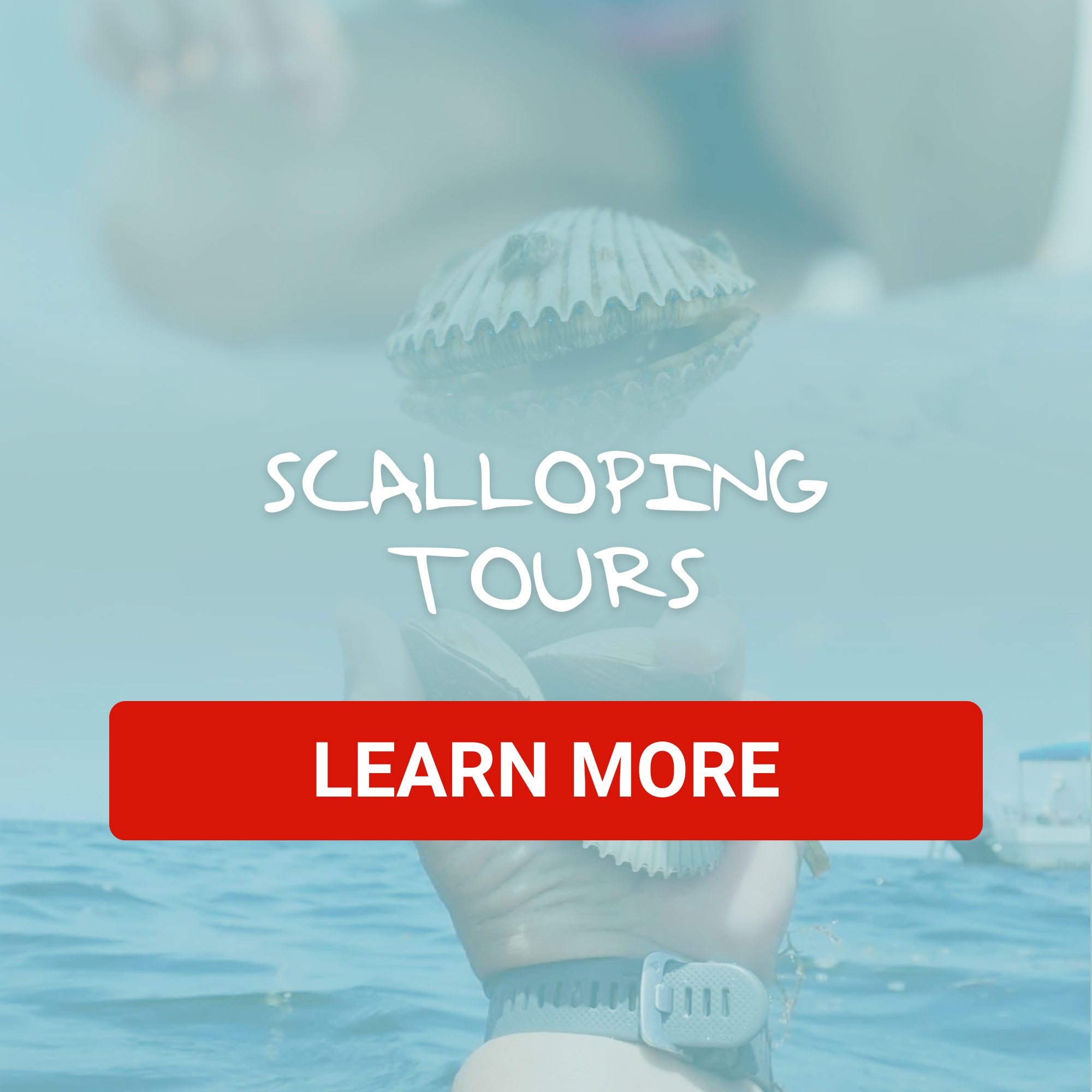 Scalloping Charters — Paddletail Waterfront Adventures