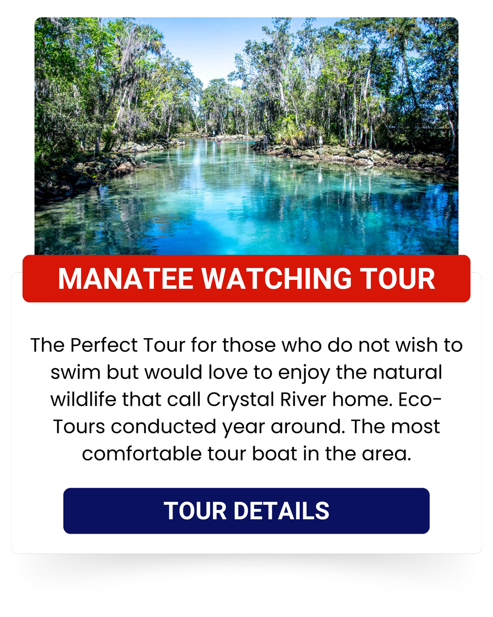 Kings Bay Manatee Watching Tour — Paddletail Waterfront Adventures