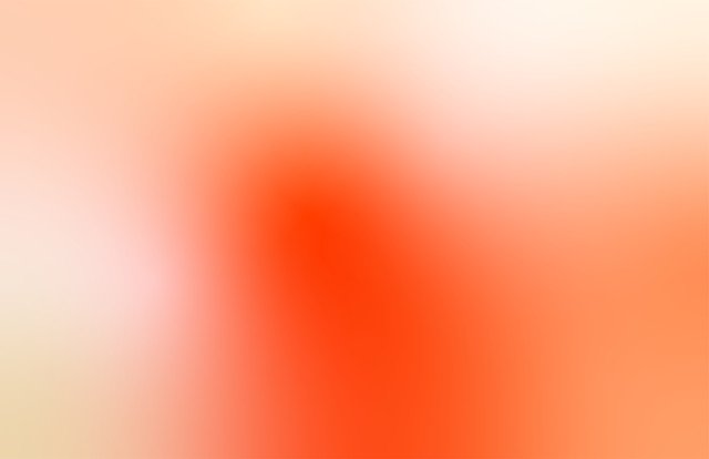 Taste of the Industry 2025 — Nectar