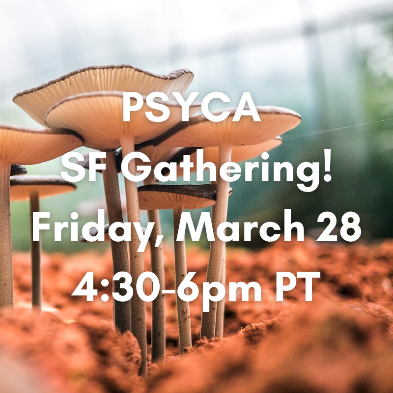5 Cities, 4/9 Save the Date, Recaps & Community News! — Psychedelics ...