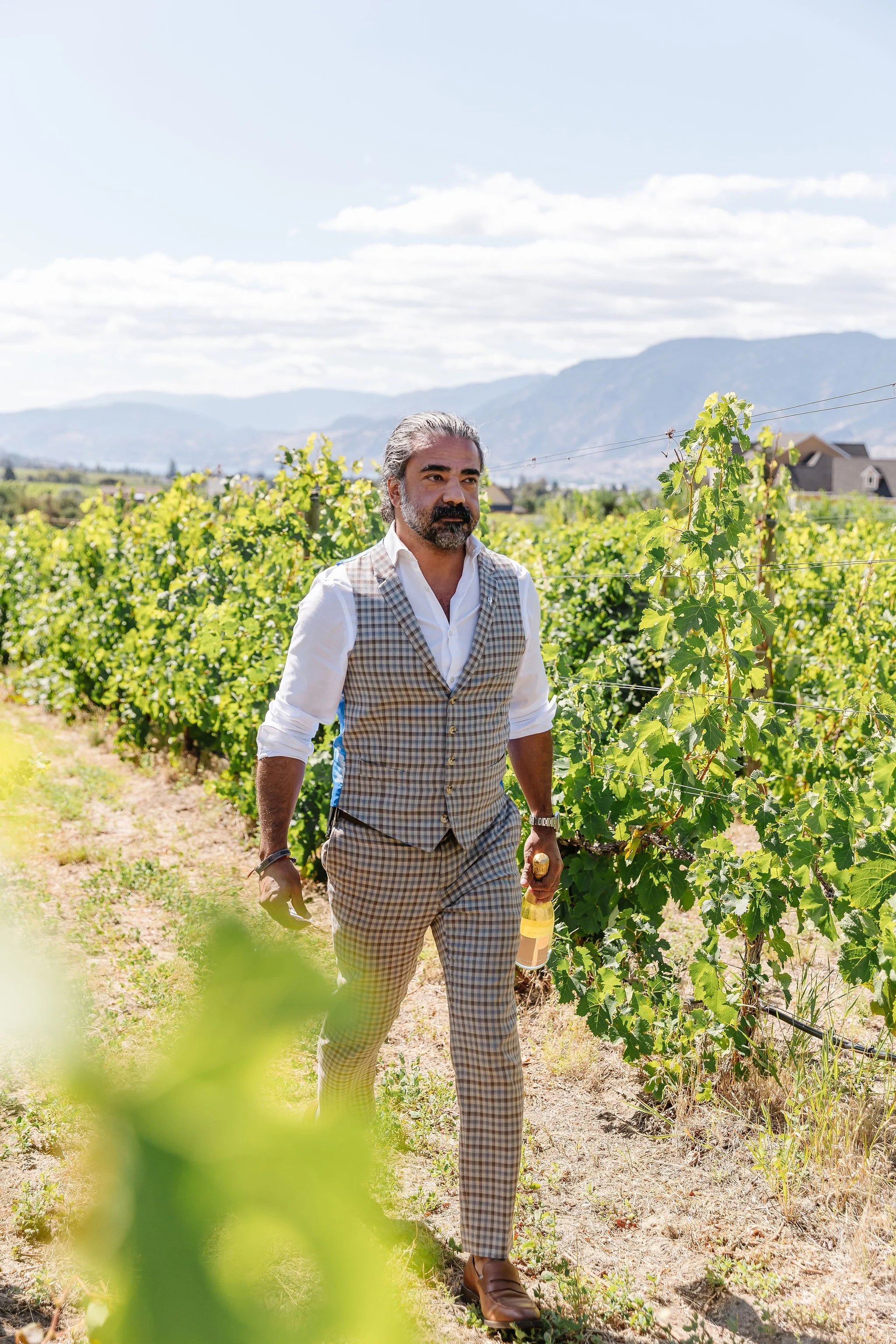 Discovering the Grapes Behind De-Alcoholized Sparkling Wines | Glimmer ...