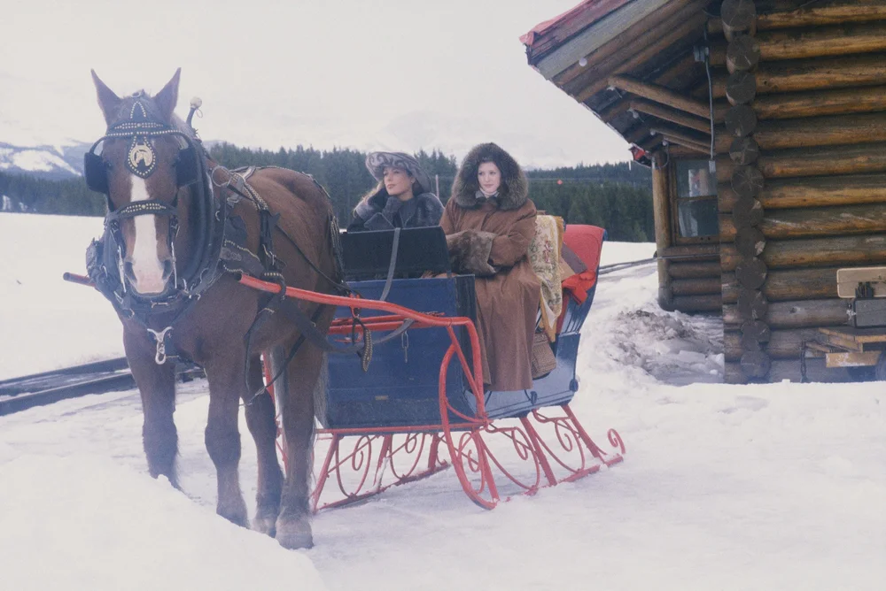Winter Wonderland Magic - Experience the Rockies with our Winter Sleigh ...