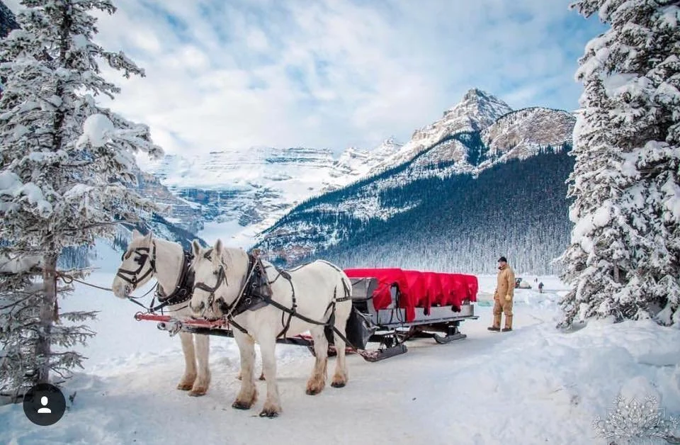 Winter Wonderland Magic - Experience the Rockies with our Winter Sleigh ...