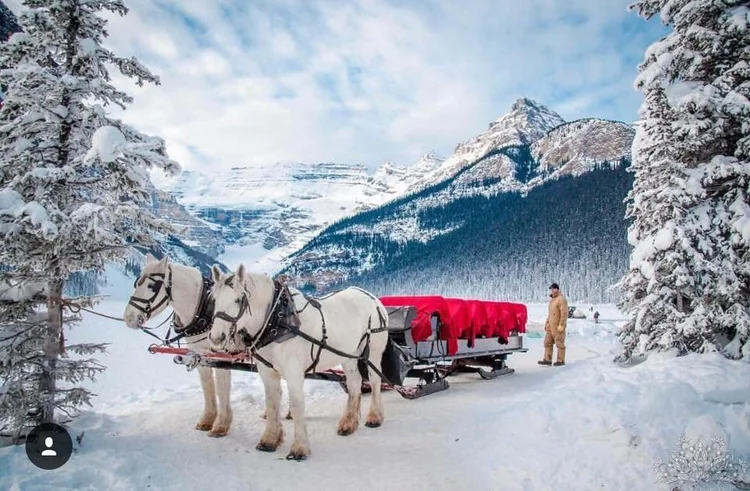 Winter Wonderland Magic - Experience the Rockies with our Winter Sleigh ...