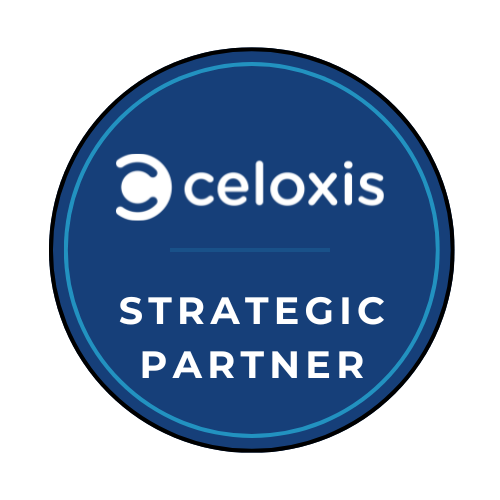 What We Do — Delivery Leadership Solutions