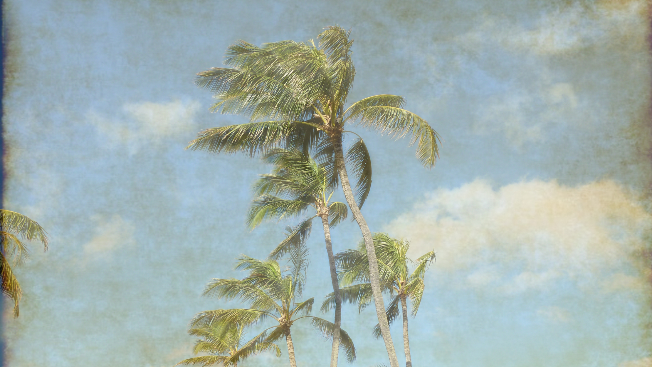 OUR HISTORY — Punta Borinquen Golf Club - Golfing in Puerto Rico