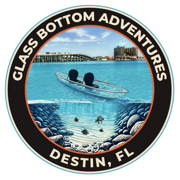 Glass Bottom Adventures Pontoon & Clear Kayaks | Destin, Florida