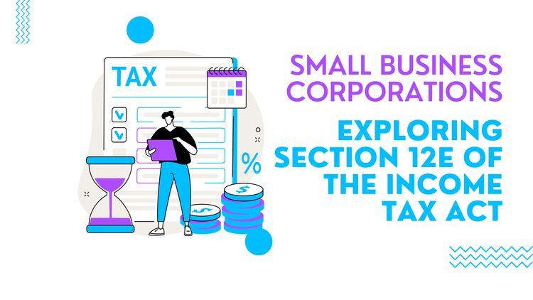 Small Business Corporations: Exploring Section 12E | Eqeight