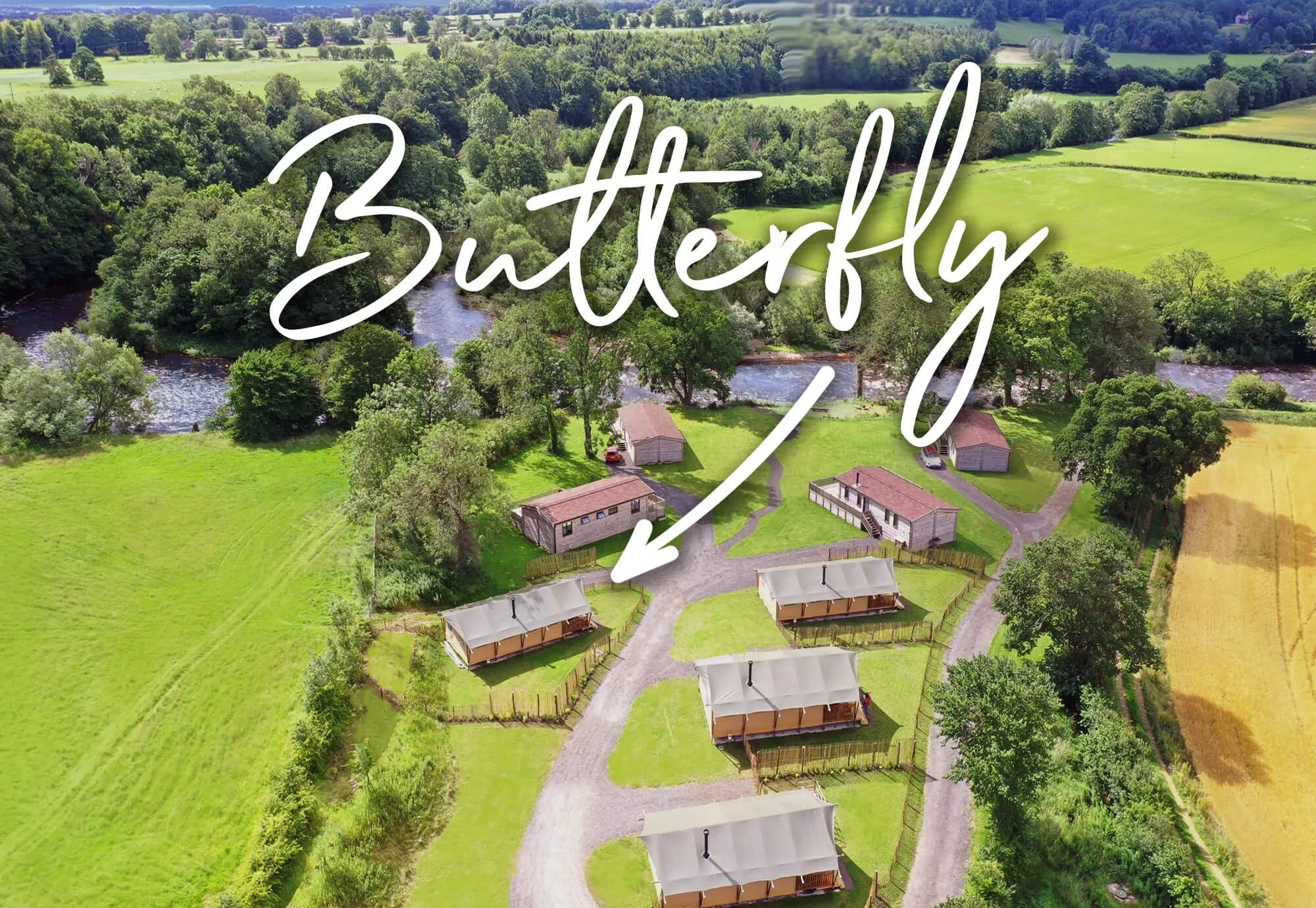 Butterfly Safari Tent — Riverdale Yorkshire