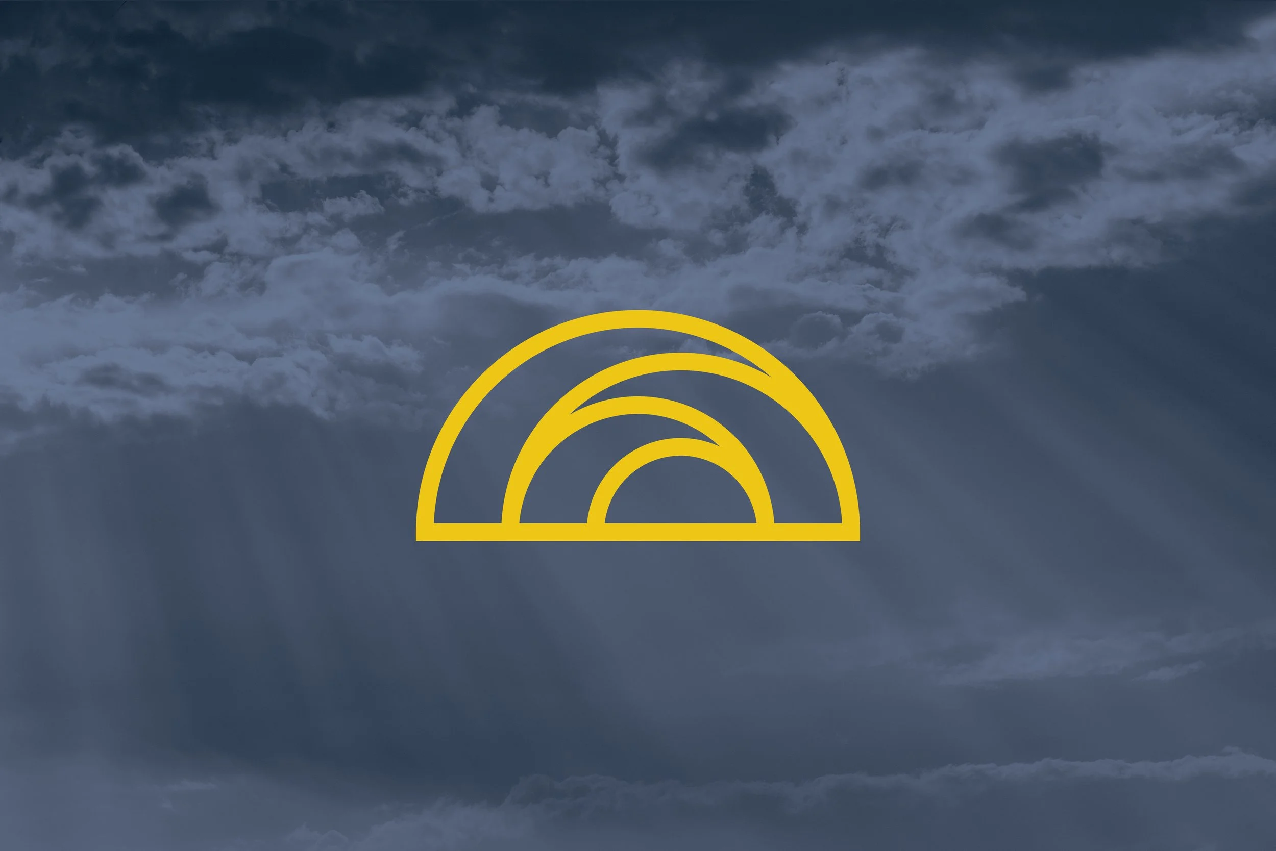 Donate — The American Sunlight Project