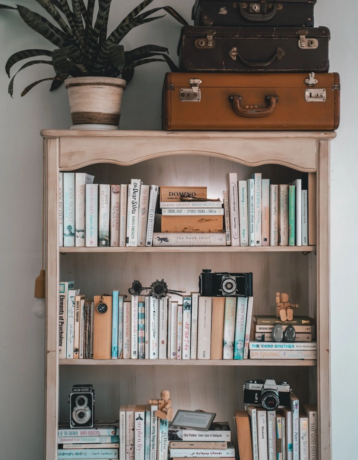 Summer Reading Recommendations, Part Two — The Savvy Sauce Podcast