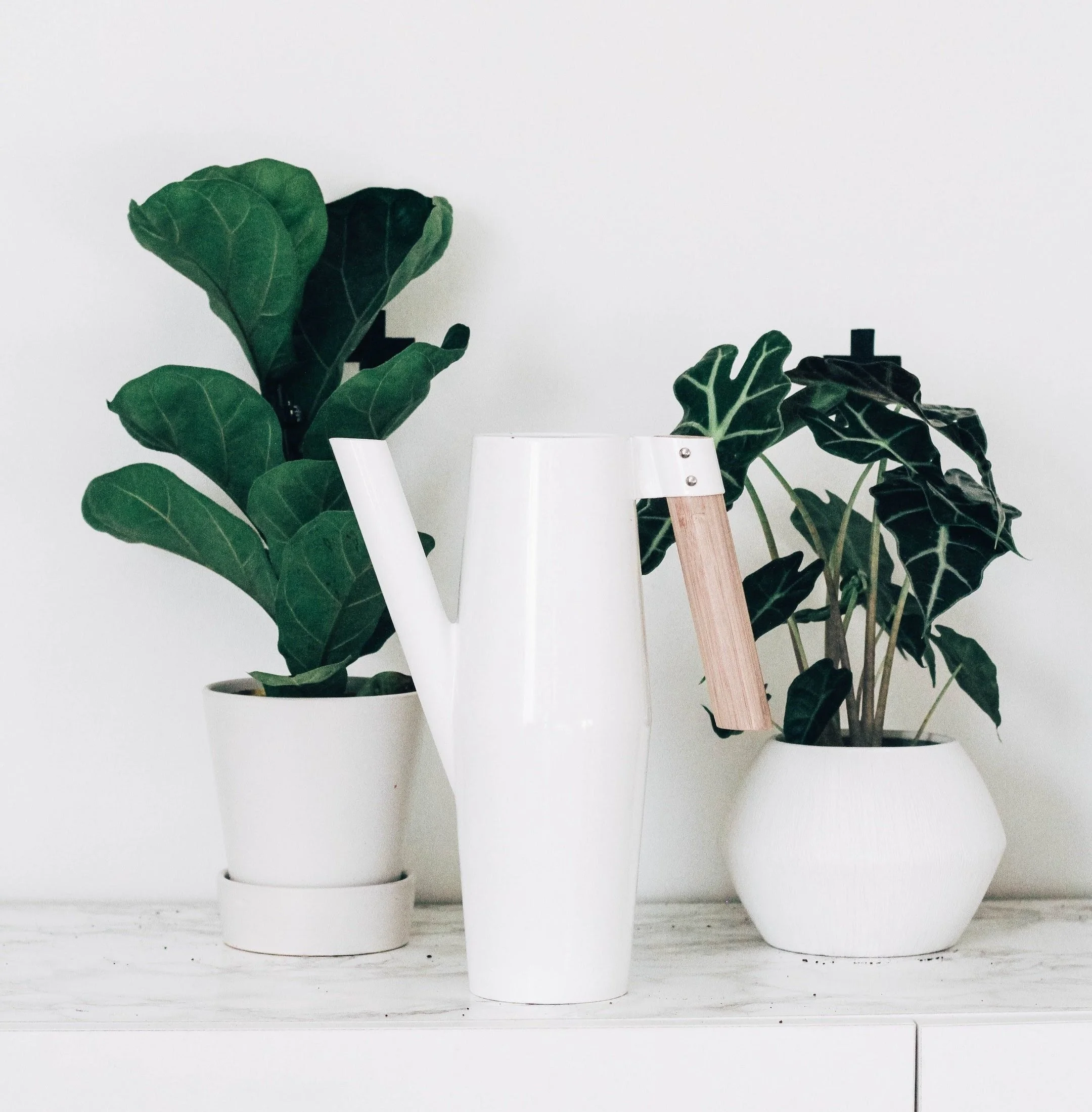 One Simple Way to Disciple Our Children — The Savvy Sauce Podcast