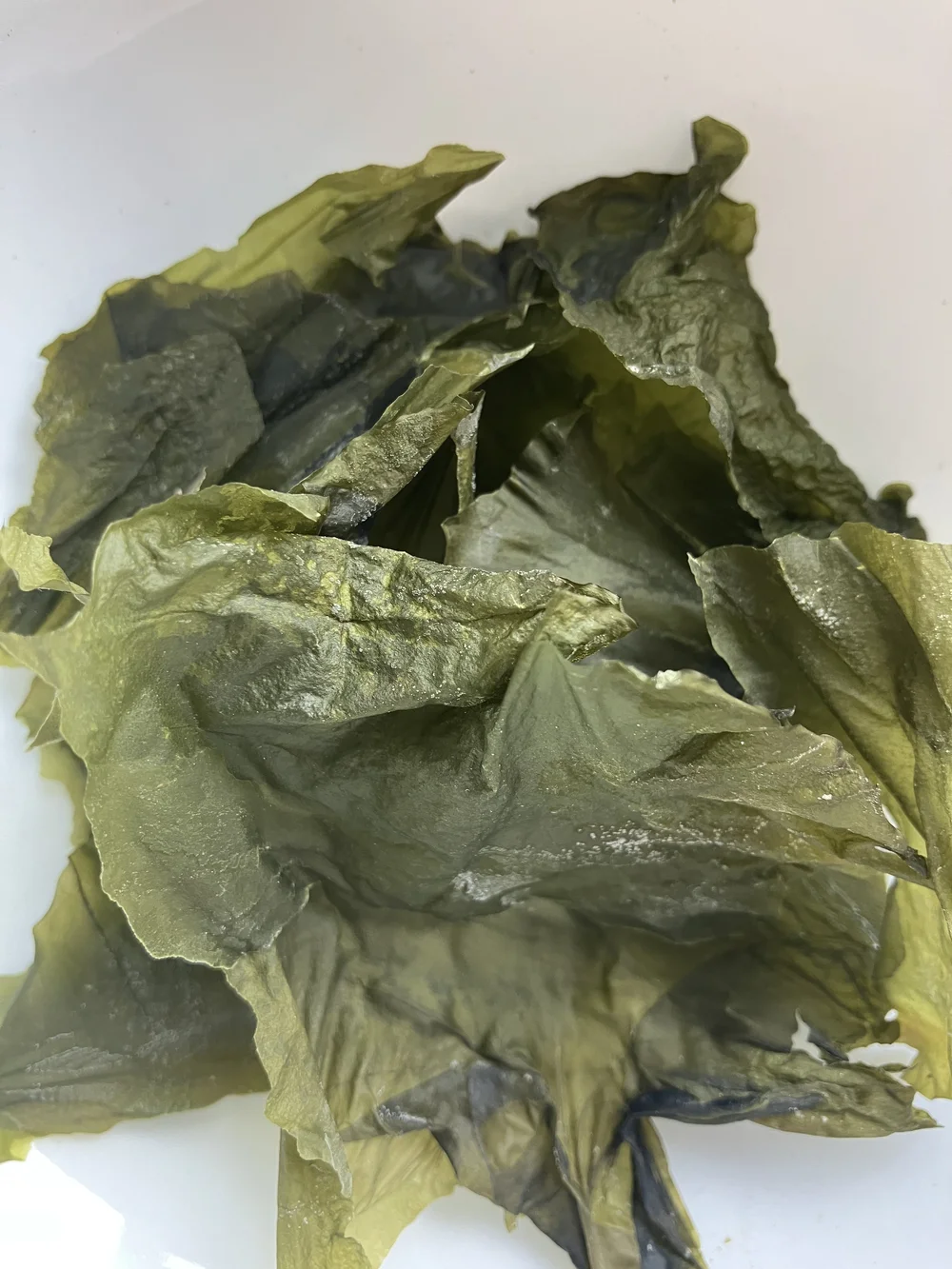 Shop — Summit Point Seafood