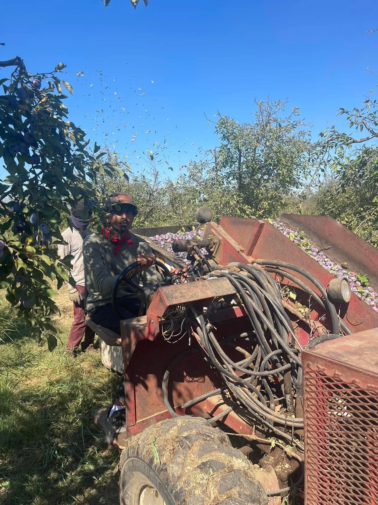 About — Ghoman Farms USA