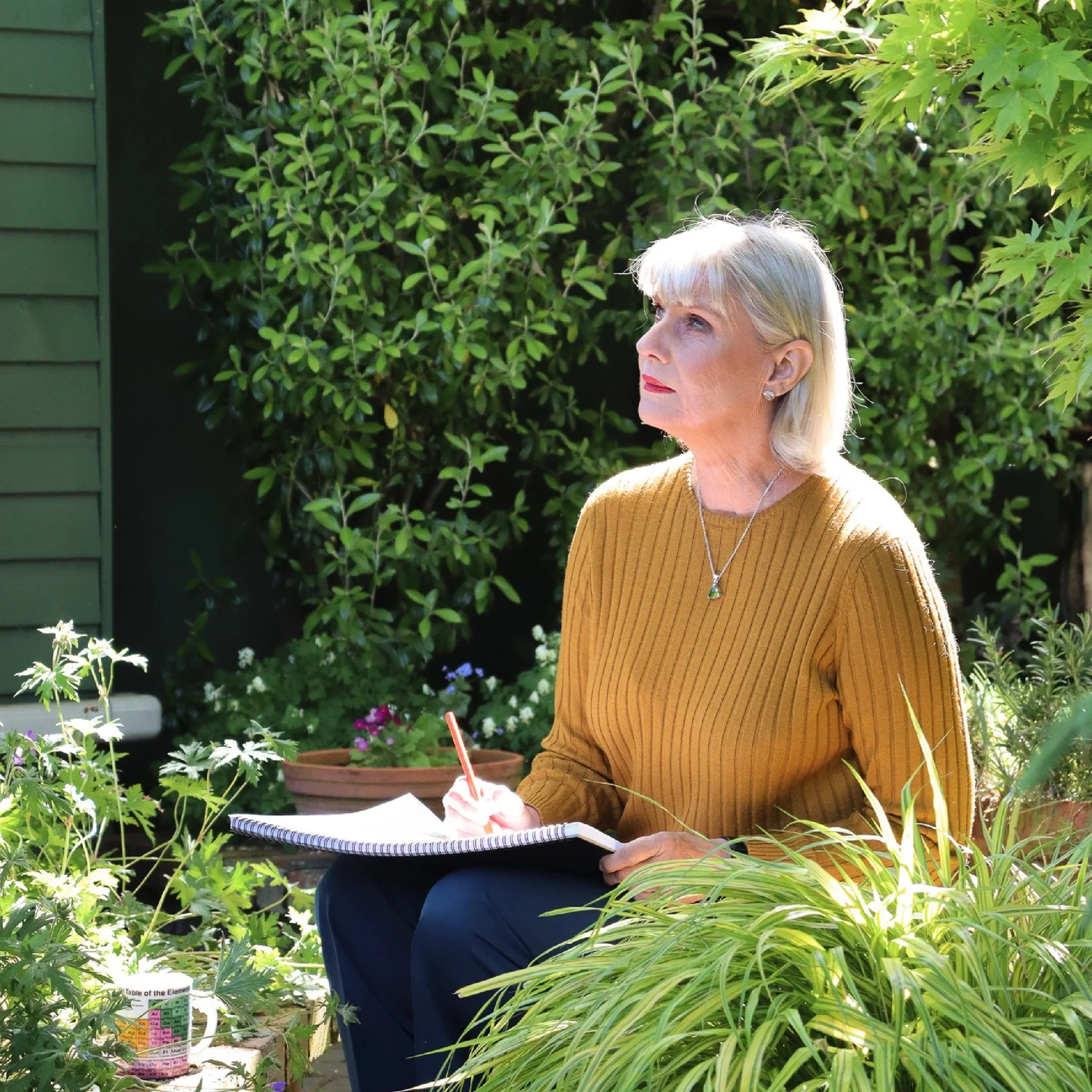 About Deborah Still - Leading NZ Interior Designer — Deborah Still Design