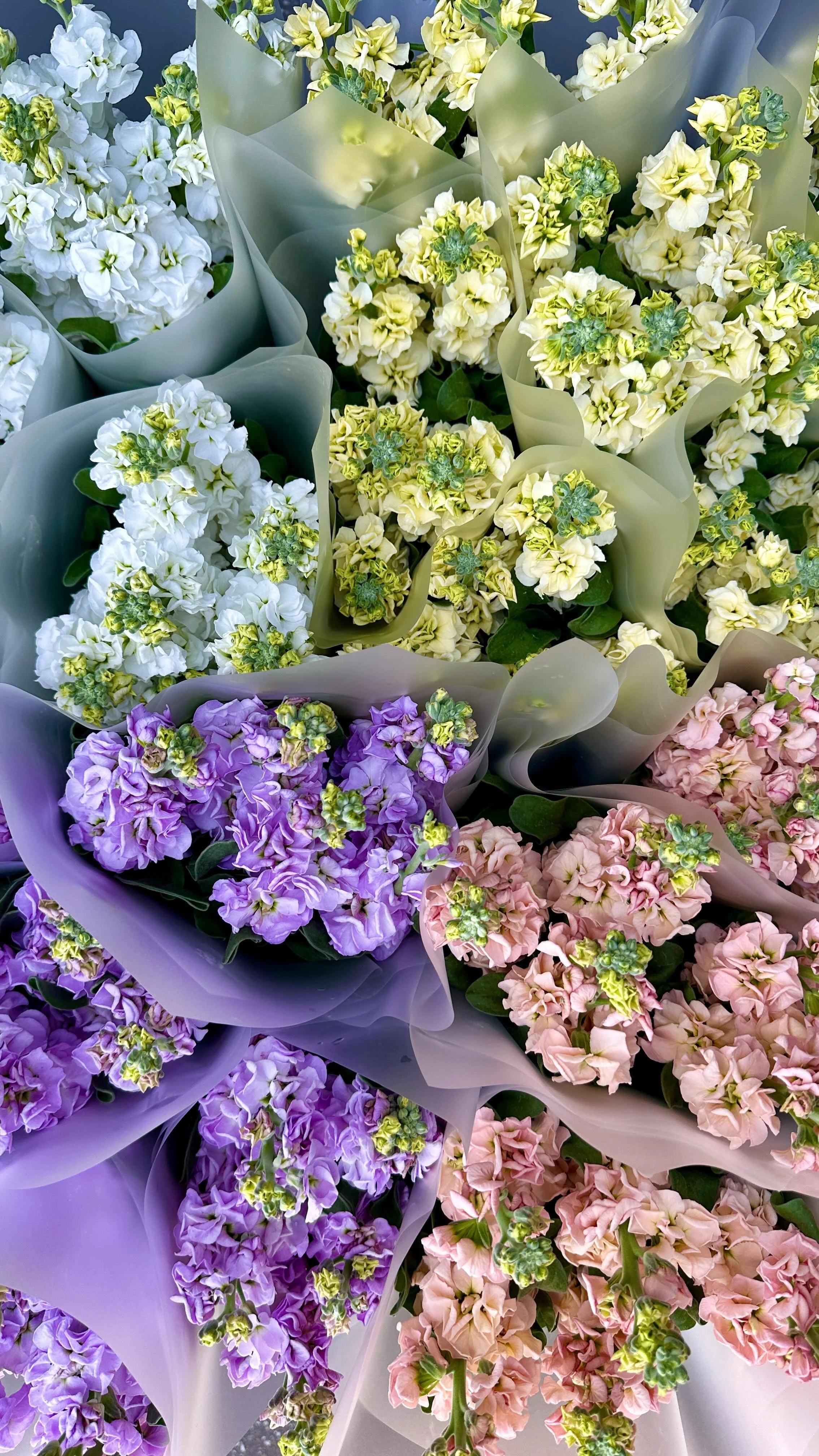 The Flower Market Perth - Florist at Herdsman Market Churchlands