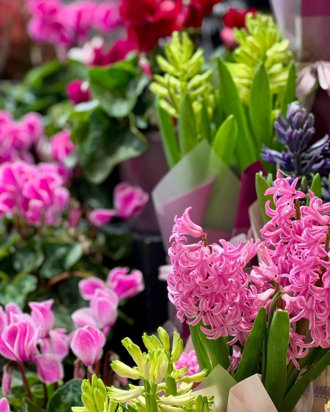 The Flower Market Perth - Florist At Herdsman Market Churchlands — The ...
