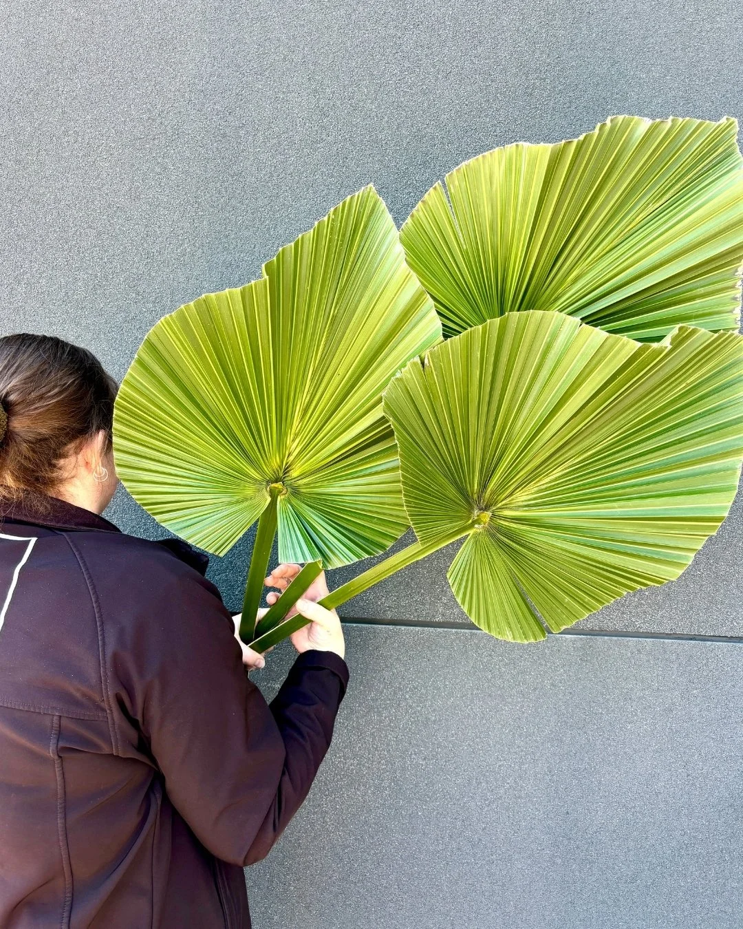 The Flower Market Perth - Florist at Herdsman Market Churchlands