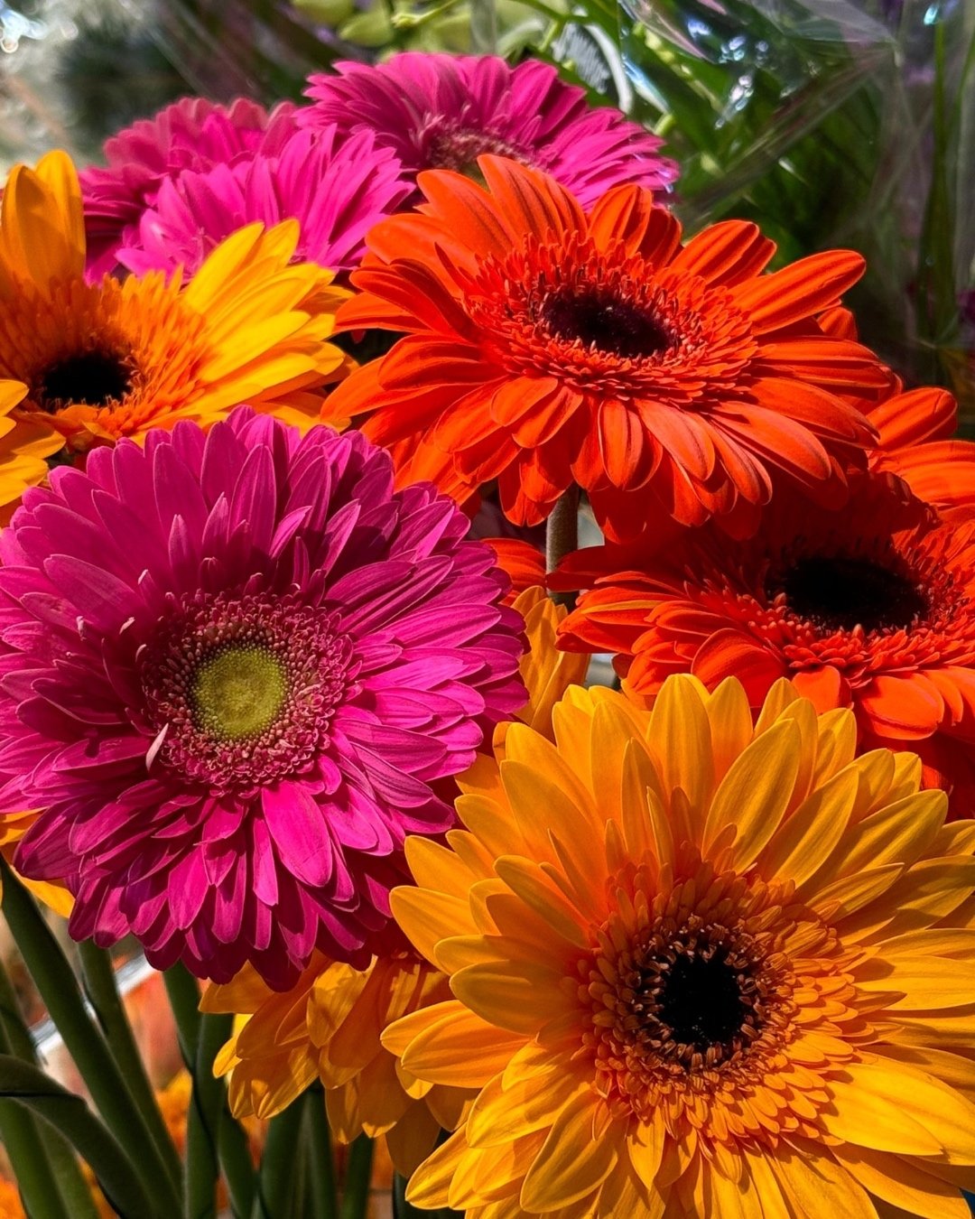 The Flower Market Perth - Florist at Herdsman Market Churchlands