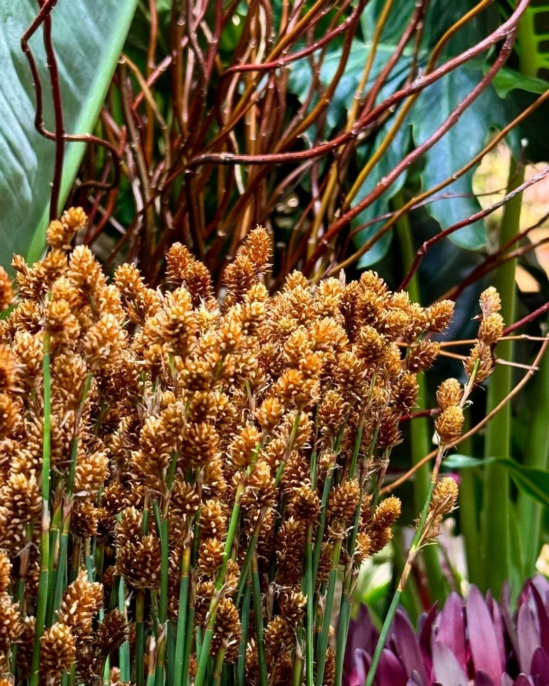 The Flower Market Perth - Florist at Herdsman Market Churchlands