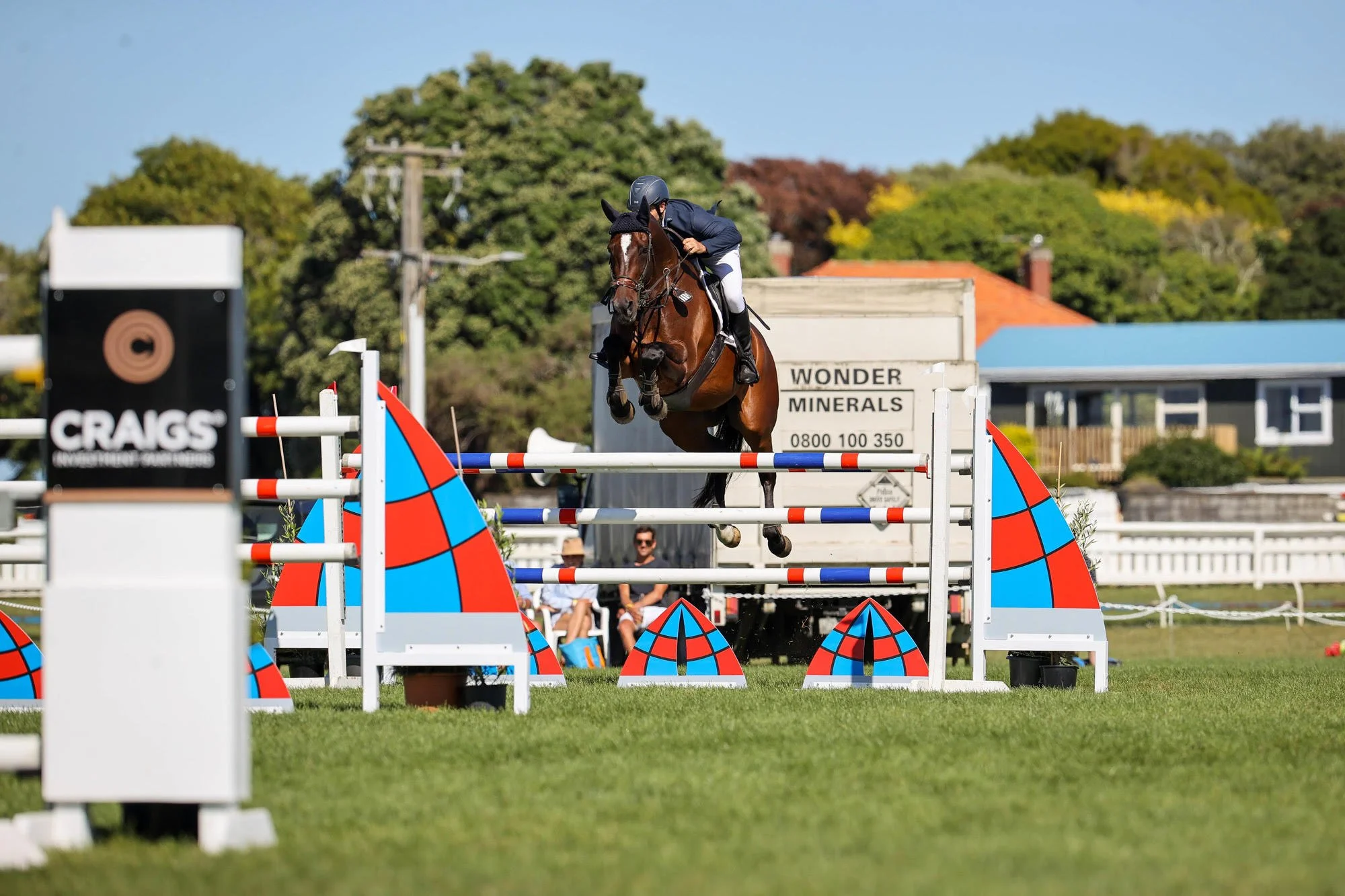 Competition Horses — Webb Show Jumping