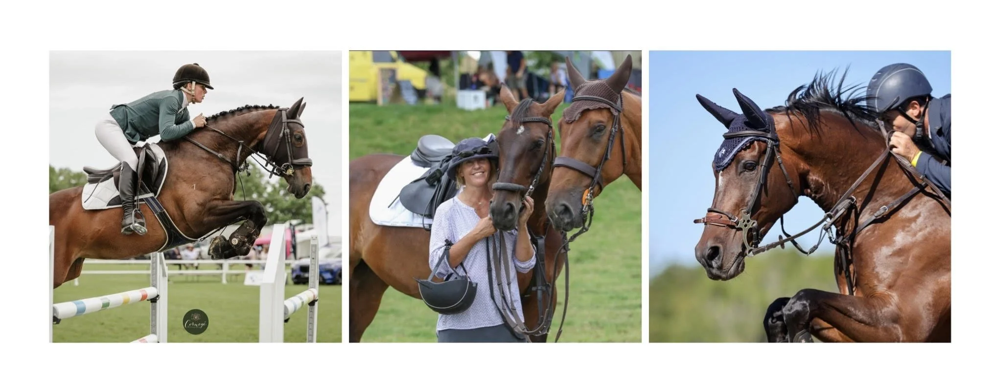 Webb Show Jumping