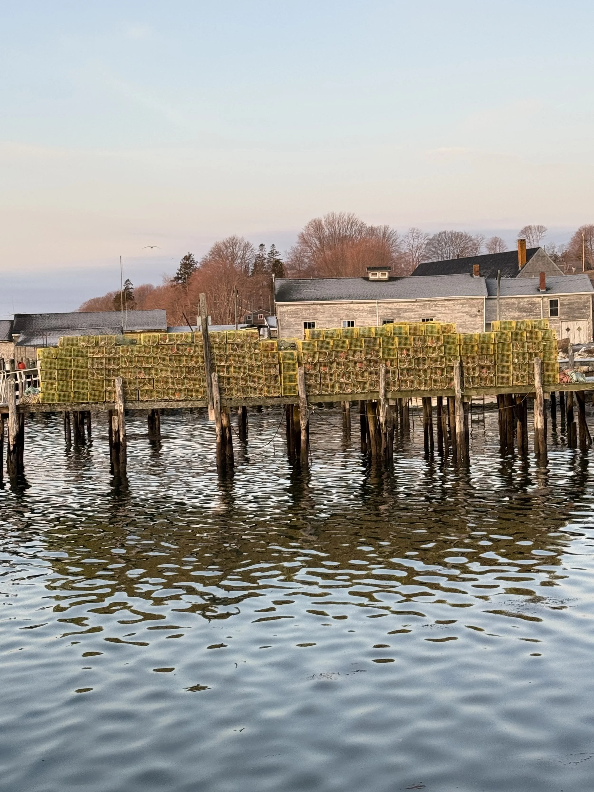 Order Maine Seafood — Maine Street Seafoods LLC