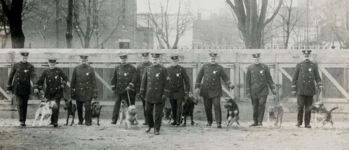 The Beginning of American K9 Units: A Brief History — FEDagent