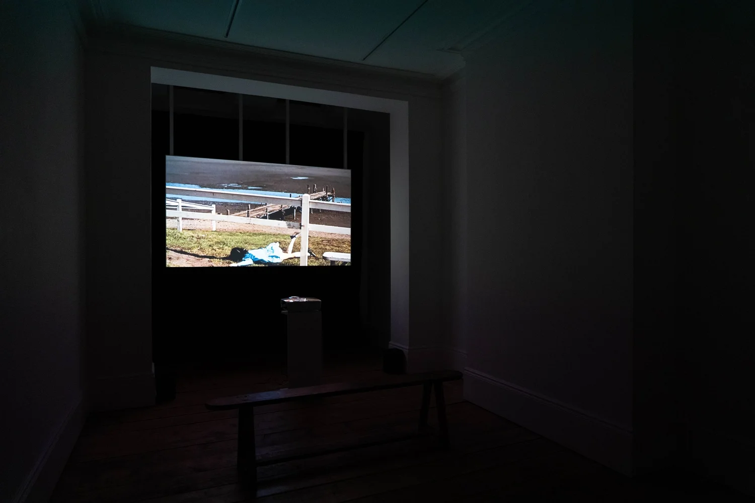THE BIRDS | Garrett Pruter — Trafalgar Avenue
