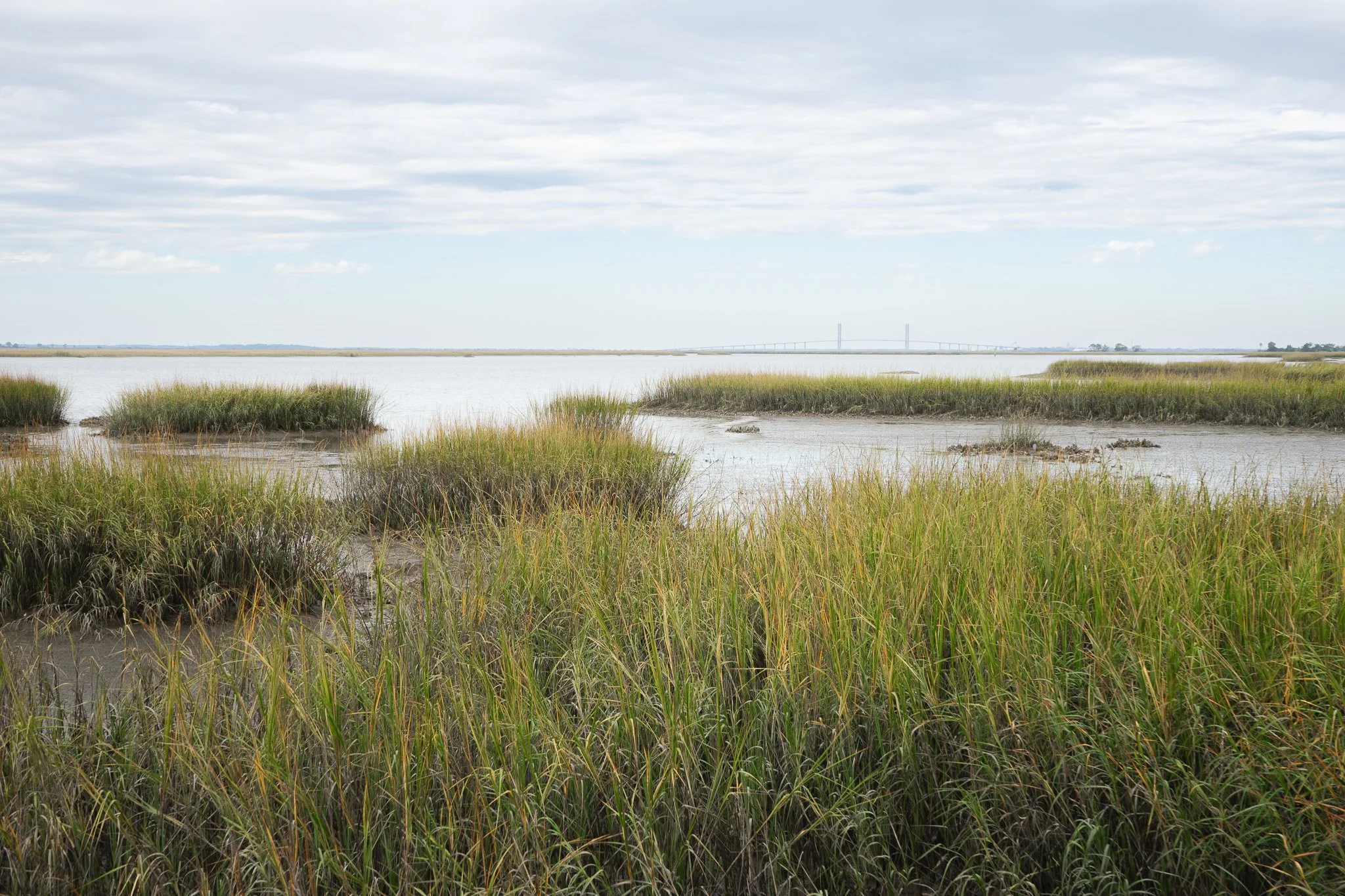 Deposit Rates — Marshland Credit Union Deposit Rates — Marshland Credit Union