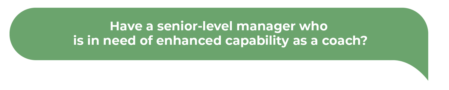 Catalytic Coaching Mastery Program