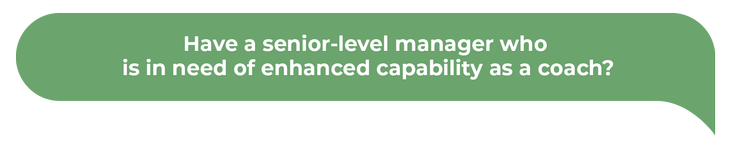 Catalytic Coaching Mastery Program