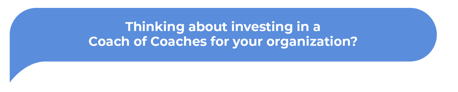 Catalytic Coaching Mastery Program