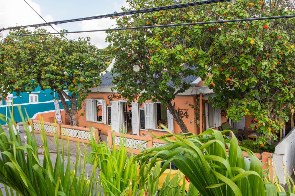 Experience Caribbean-Med Fusion Delights at Restaurant Maira's Kitchen ...